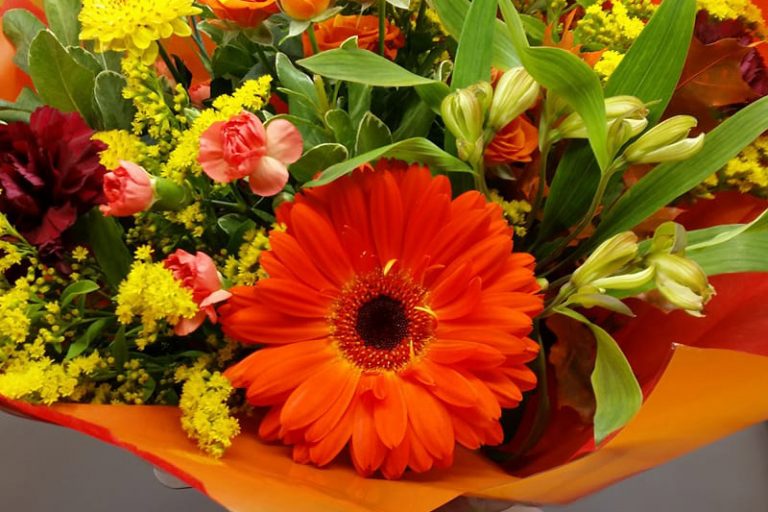 The High Street - Visit Fishguard